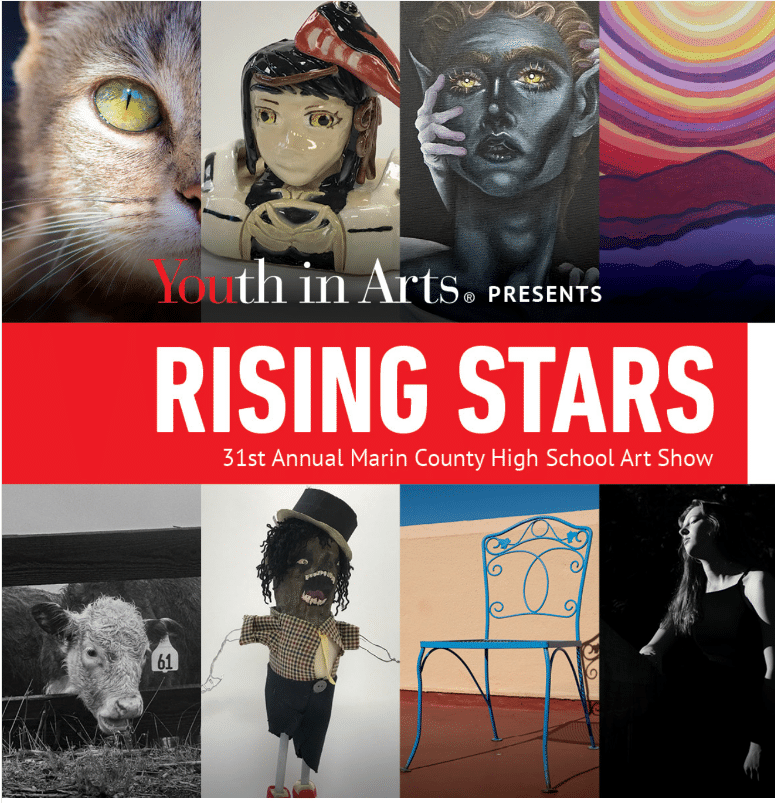 MSA Artists Earn Countywide Awards • Marin School Of The Arts