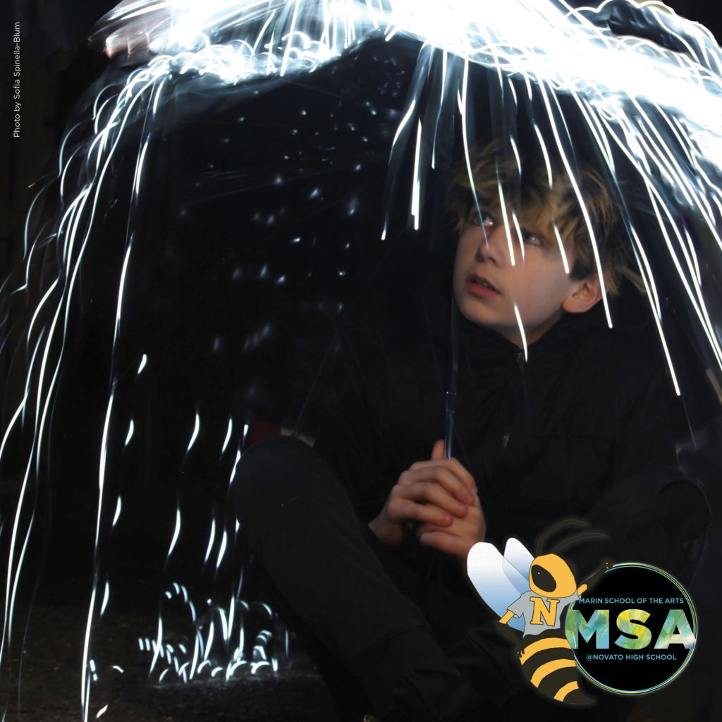 MSA Visual Artists Awarded Locally And Statewide • Marin School Of The Arts